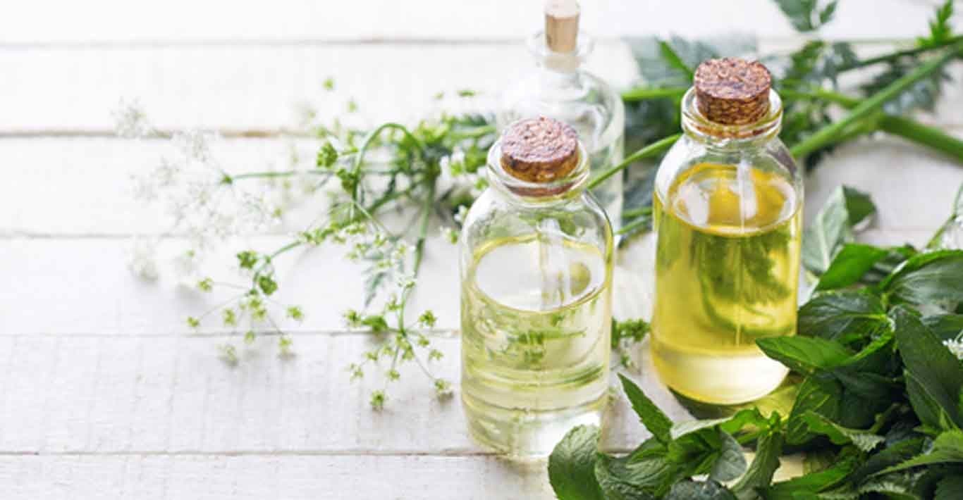 Restoring Ojas – Himalayan Institute Online