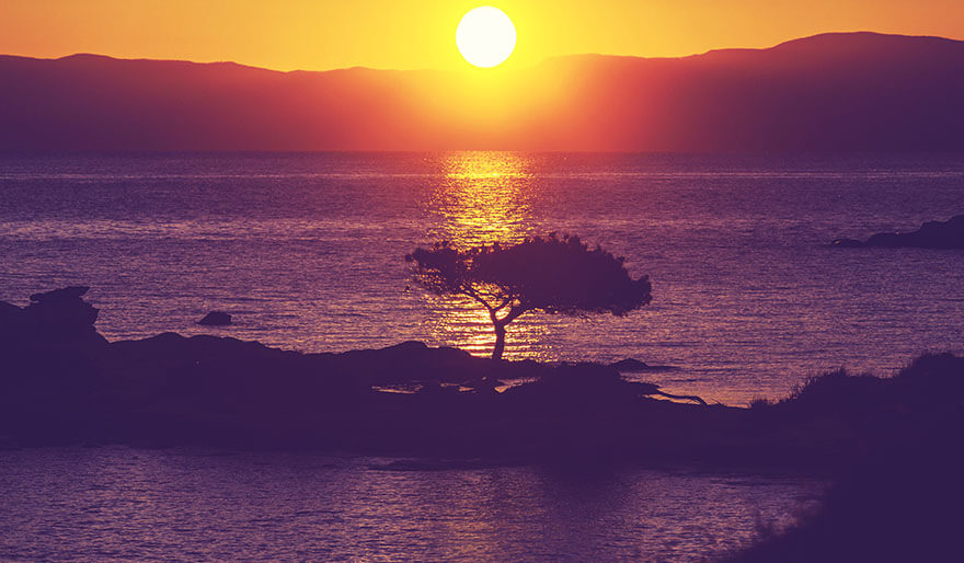 The Tridosha Theory of Ayurveda – Himalayan Institute Online