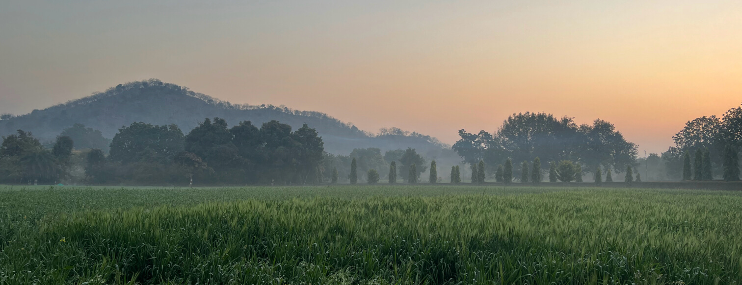 Building the Foundation for the Advanced Practice of Sri Sukta ...